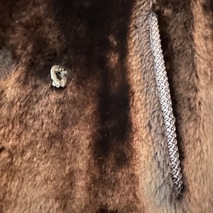 Sheared Beaver Coat 40 Inches in Length L XL - Etsy