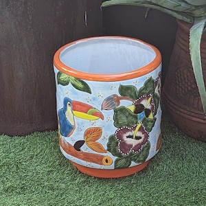 Pre-order Toucan Planter a 12 Round Ceramic Flower Pot Handmade ...