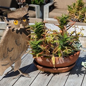 Bronze Owl Garden Decor & Metal Owl Statue, Outdoor Owl Decoration Yard ...