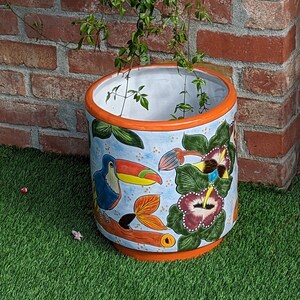 Pre-order Toucan Planter a 12 Round Ceramic Flower Pot Handmade ...