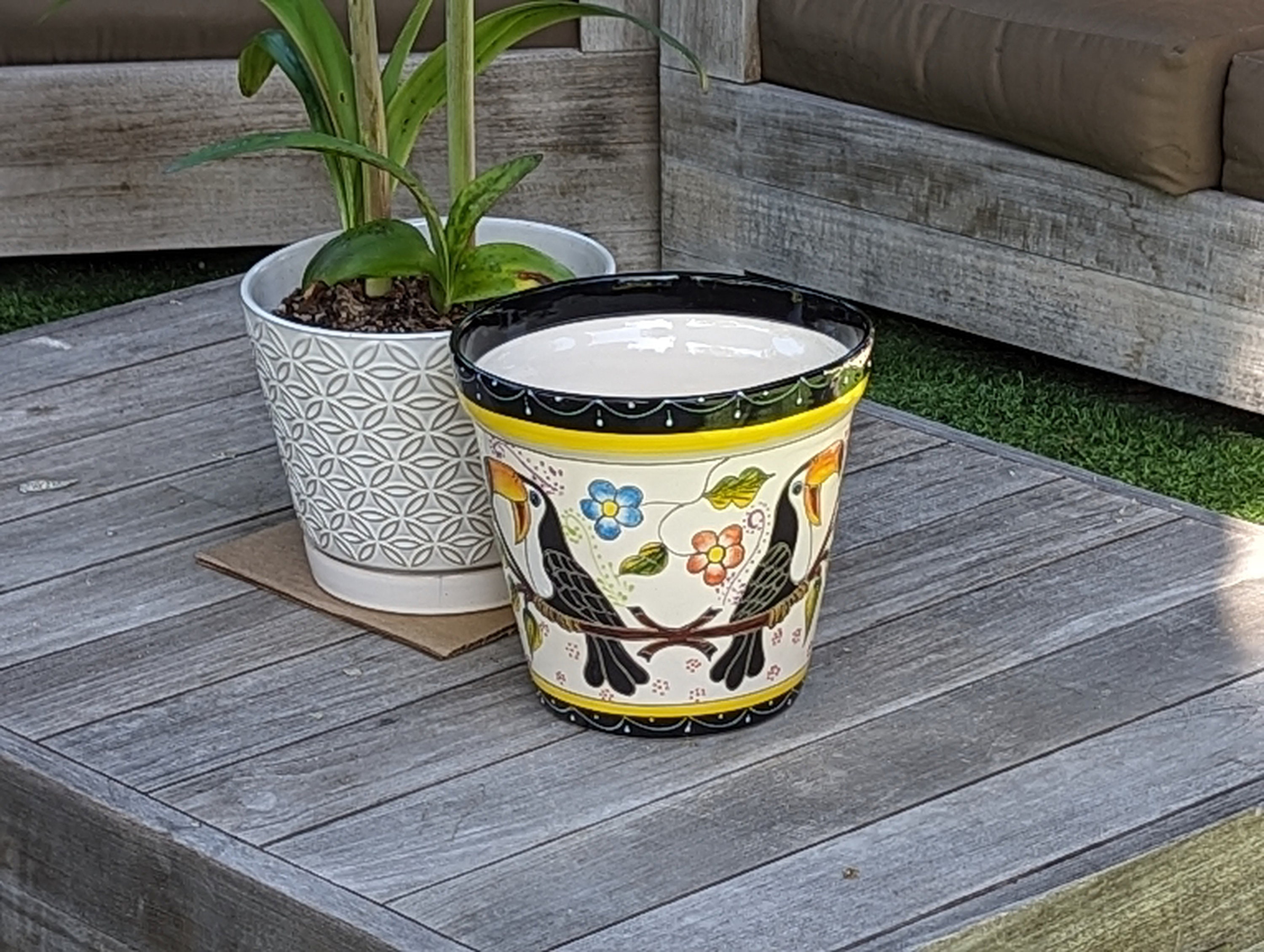 Toucan Flower Pot: Hand-painted Mexican Ceramic Planter - Etsy