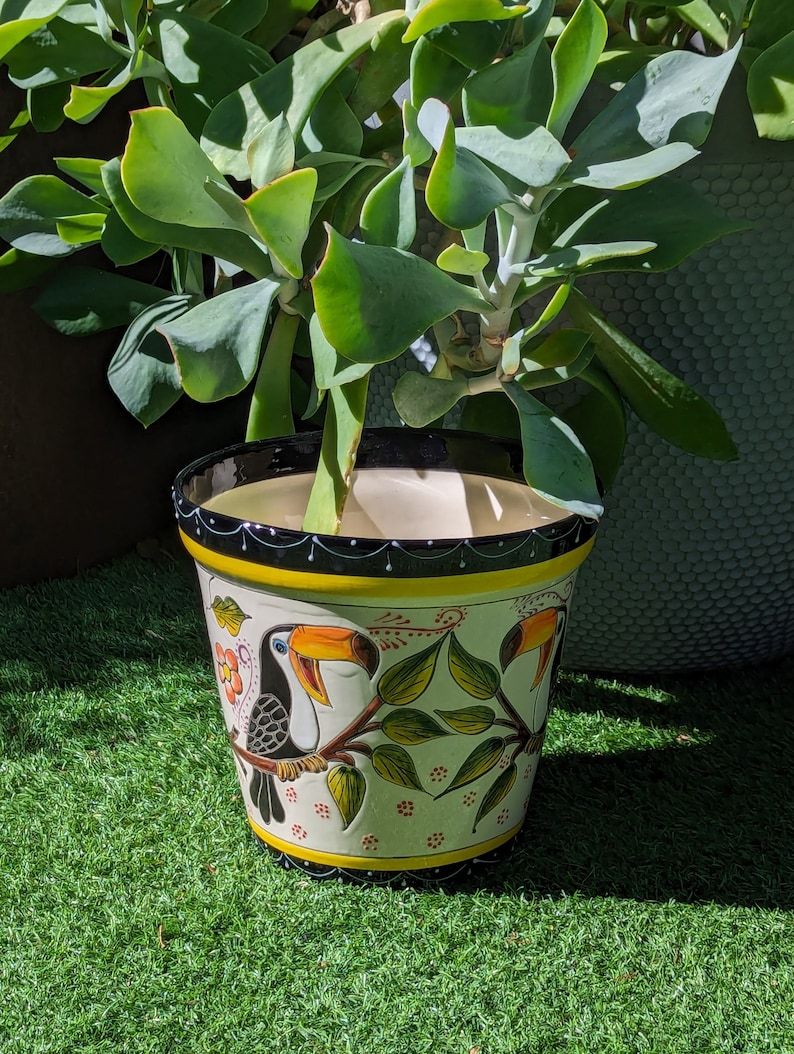 Toucan Flower Pot | Hand-painted Mexican Ceramic Animal Planter Pot ...