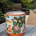 Pre-order Toucan Planter a 12 Round Ceramic Flower Pot Handmade ...