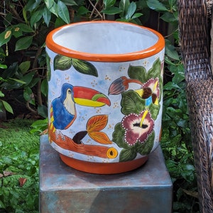 Pre-order Toucan Planter a 12 Round Ceramic Flower Pot Handmade ...