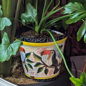 Toucan Flower Pot: Hand-painted Mexican Ceramic Planter - Etsy