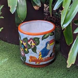 Pre-order Toucan Planter a 12 Round Ceramic Flower Pot Handmade ...