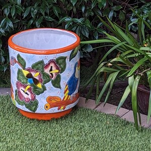 Pre-order Toucan Planter a 12 Round Ceramic Flower Pot Handmade ...