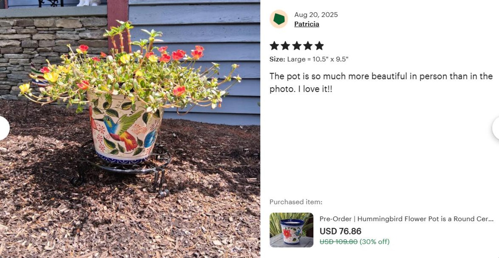 4 Parrots Flower Pot | Hand-painted Mexican Planter in Four Sizes - Etsy