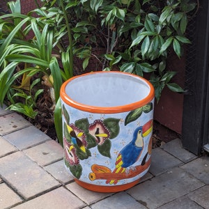 Pre-order Toucan Planter a 12 Round Ceramic Flower Pot Handmade ...