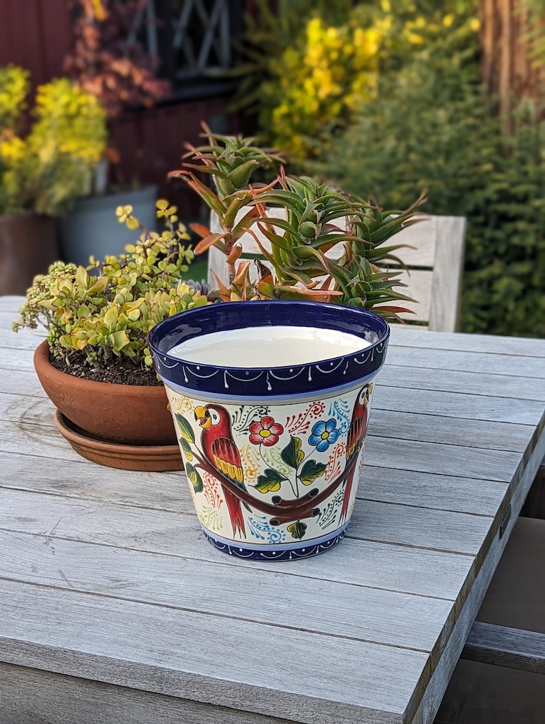 Talavera Parrots Flower Pot | Hand-painted Mexican Planter in Four ...