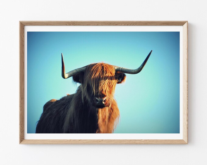 Emerald Green Highland Cow Print: Vintage Farmhouse Wall Art - Etsy Canada