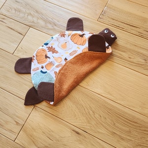 Cozy Fall Floor Turtle, Kitchen Mop - Etsy
