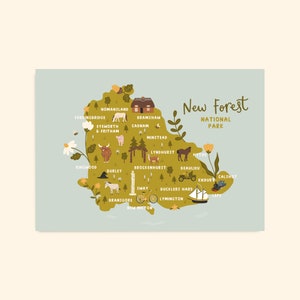New Forest Map Print | Illustrated Map of New Forest, Hampshire | New ...