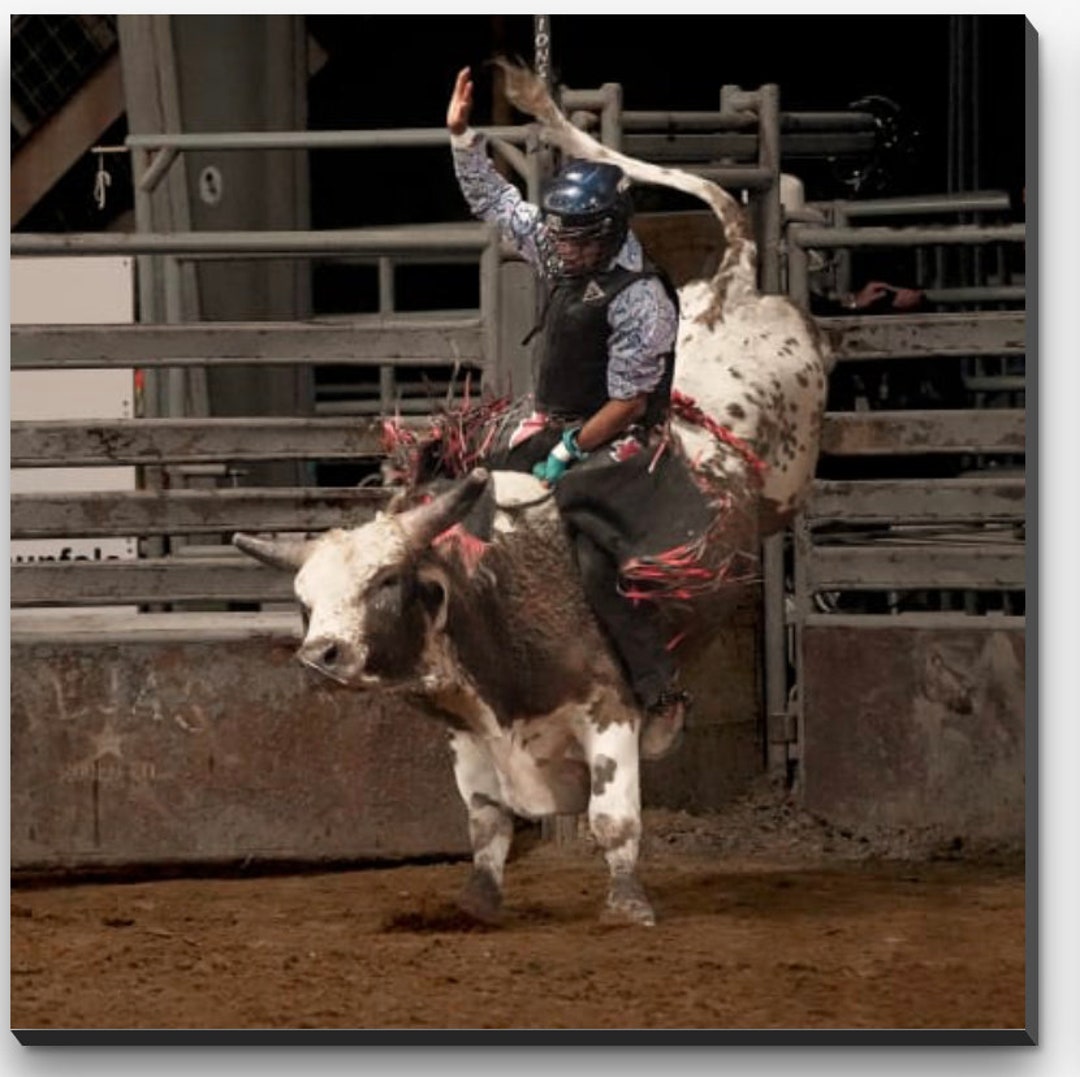 Photos for Farmhouse Decor Rodeo Horse Rooster Chicken - Etsy