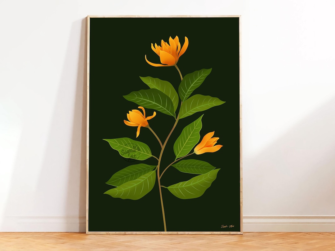 Indian Son Champa Flower Illustration, Magnolia Champaca Print, Boho ...