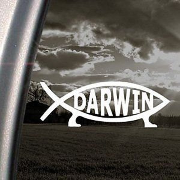 Darwin Fish - Etsy