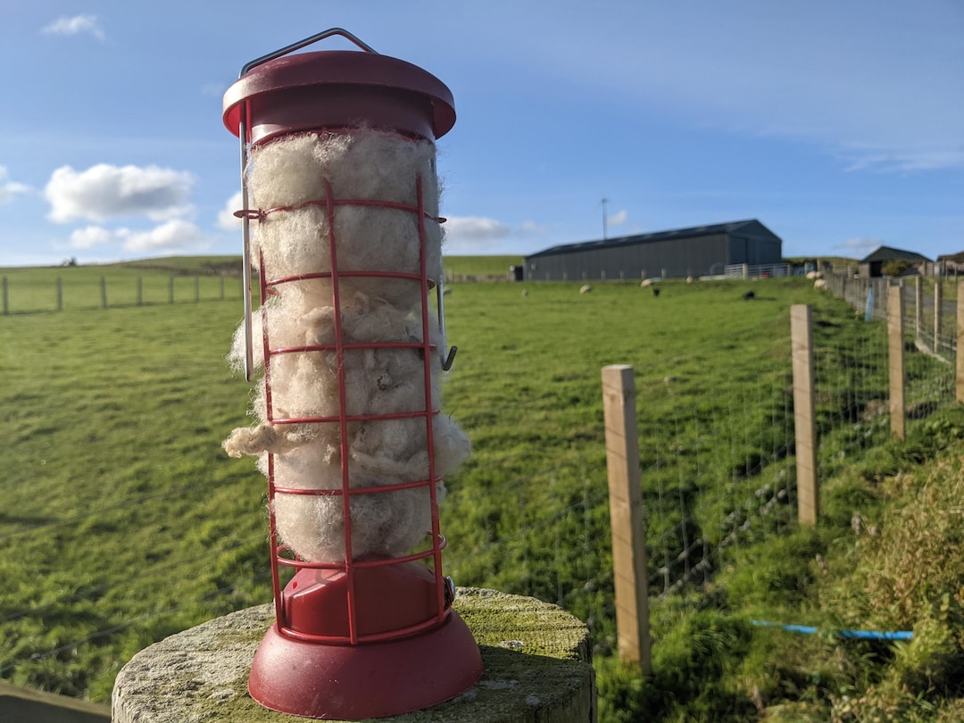 Wool Bird Nesting Material Holder: British Sheep Wool, Garden Feeder - Etsy