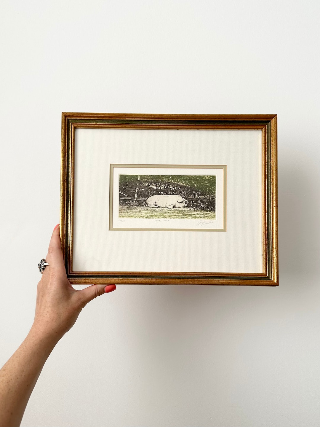 D.G. Beattie 20th Century Etching, Pig Picture, Limited Edition Print ...