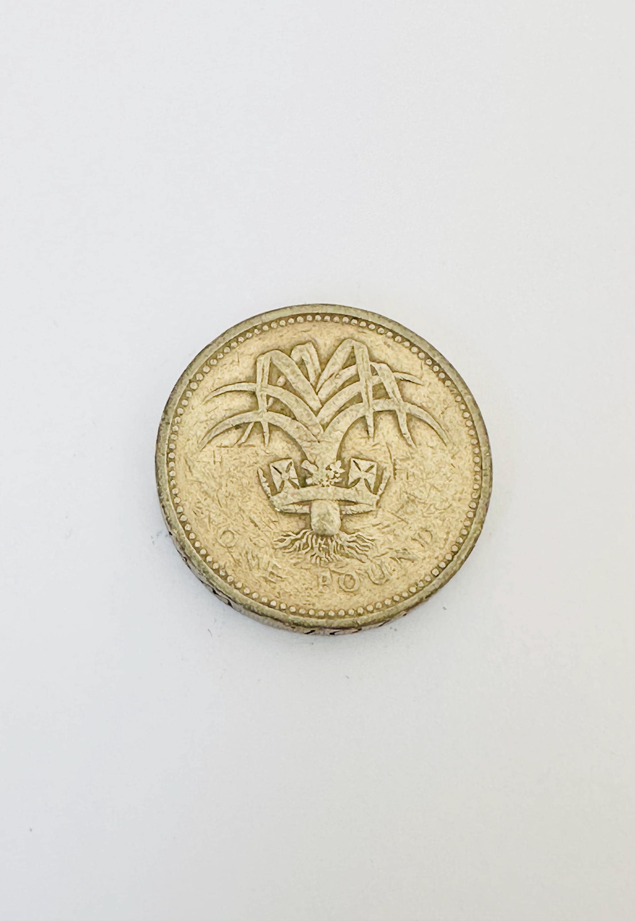 RARE 1985 One Pound Coin, Collectible Coin, Welsh Leek Emblem Coin ...