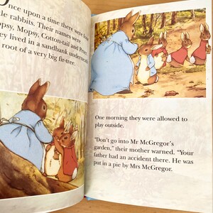 Peter Rabbit, Lady Bird Books for Children, Set of 3 Books - Etsy