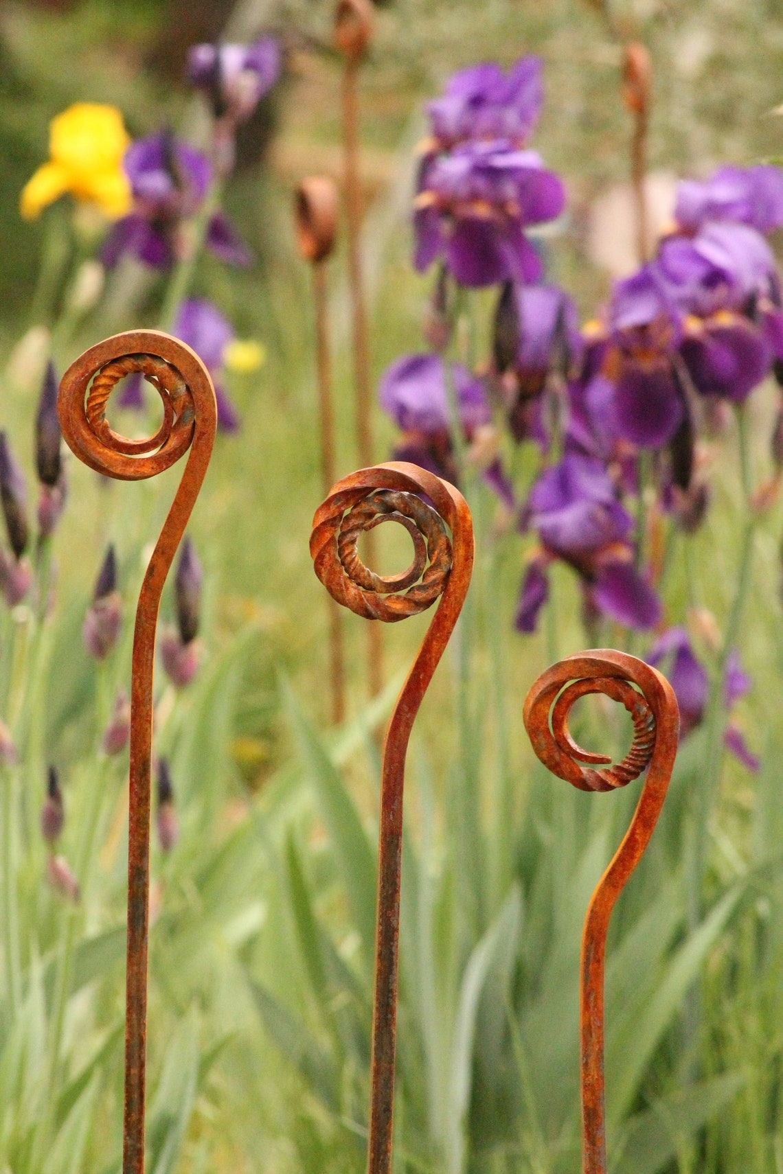 Metal Fern Garden Stakes Set of 5 Yard Art Hand Forged - Etsy