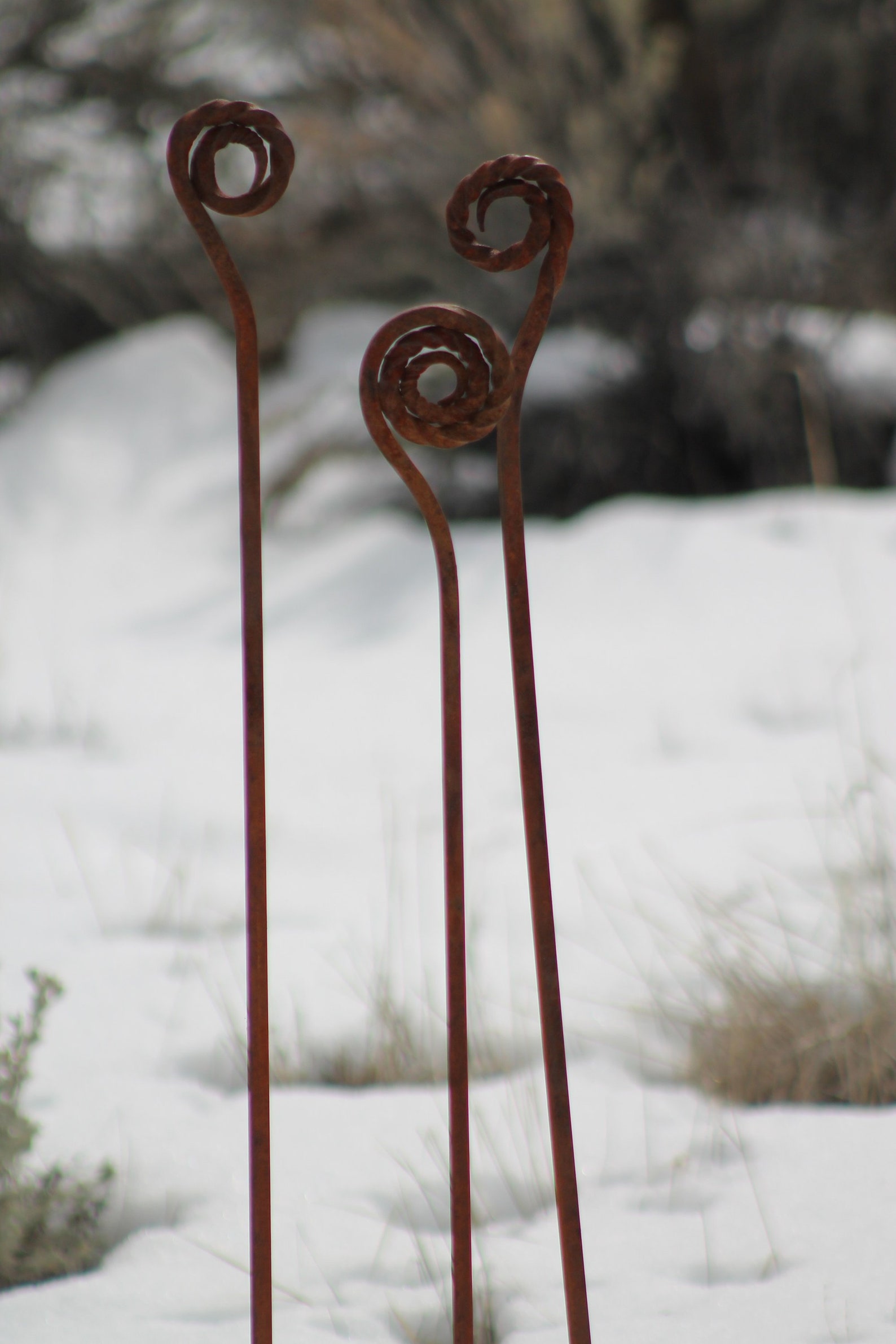 Metal Fern Garden Stakes Set of 5 Yard Art Hand Forged - Etsy