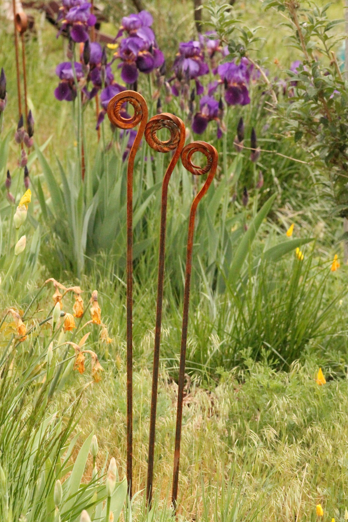 Metal Fern Garden Stakes Set of 5 Yard Art Hand Forged - Etsy