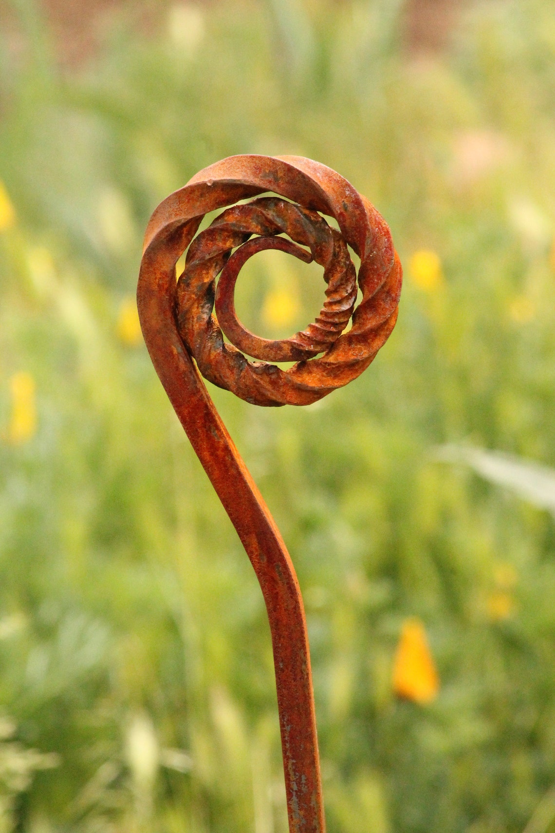 Metal Fern Garden Stakes Set of 5 Yard Art Hand Forged - Etsy