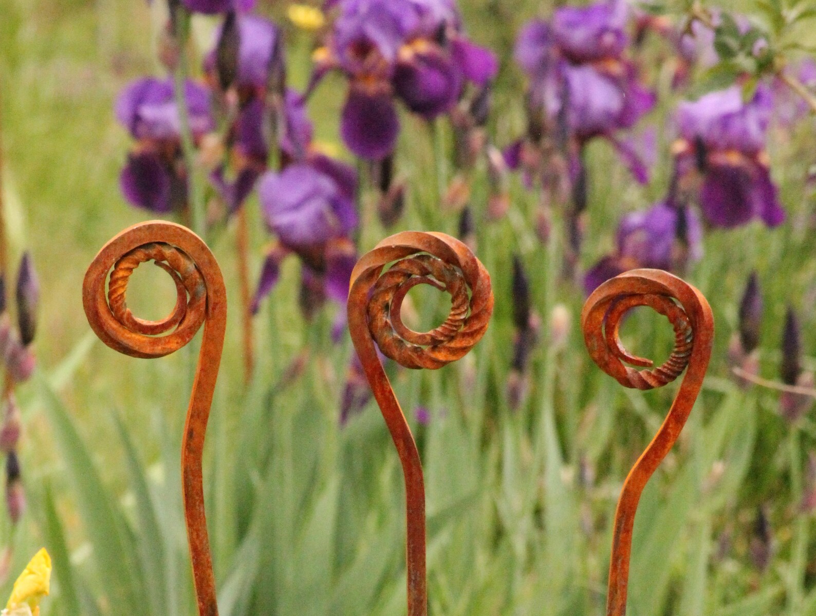 Metal Fern Garden Stakes Set of 5 Yard Art Hand Forged - Etsy