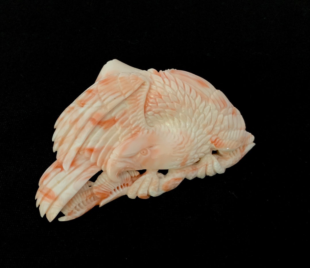 RARE Carved Coral Brooch/ Big Hawk/ Vintage Carved Natural - Etsy