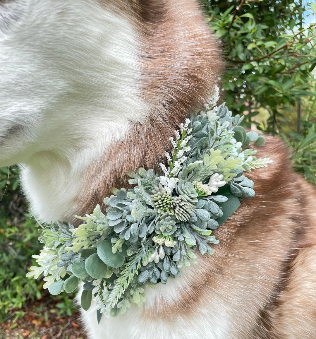 Handmade Greenery Dog Flower Collar: Wedding Pet Wreath - Etsy