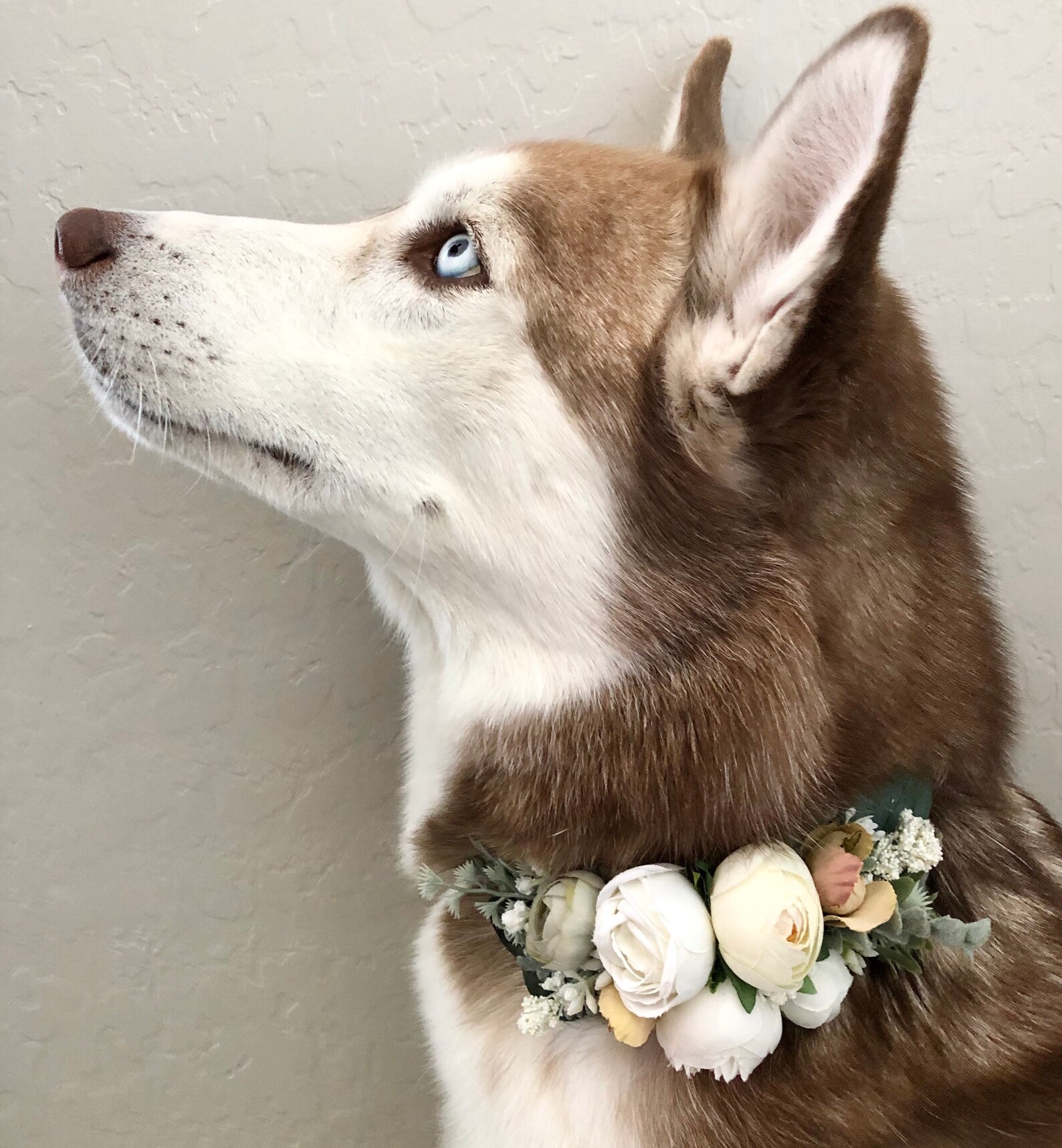 Collar de flor de perro verde corona de flor de perro corona | Etsy