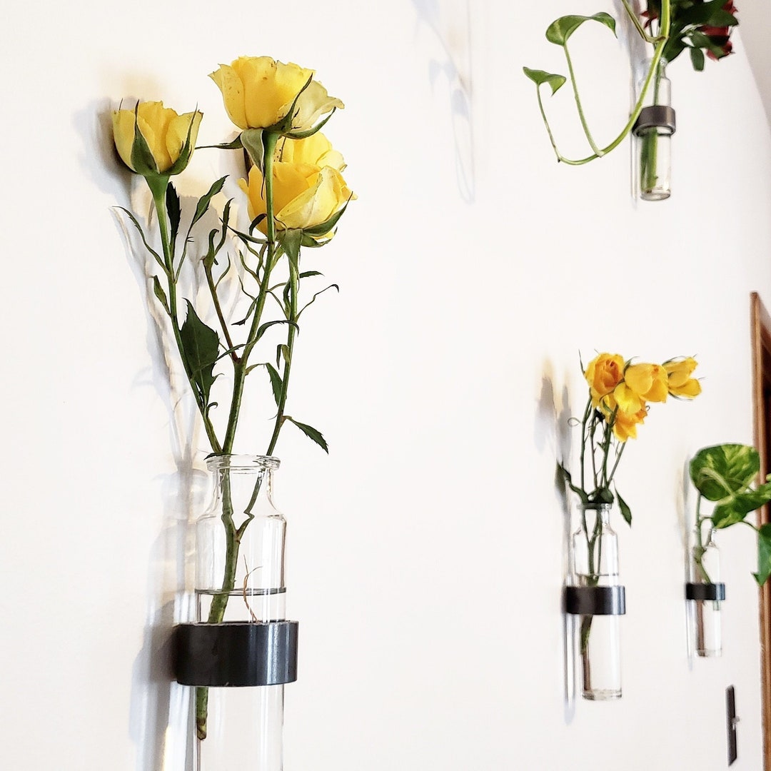 Wall Hanging Vase: Modern Plant Propagation Decor, Glass and Metal Wall ...
