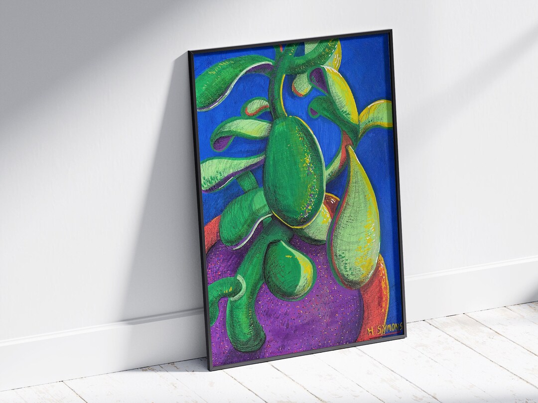 House Plant Drawing - Posca Pen, Botanical Paintings, Colourful Flower ...