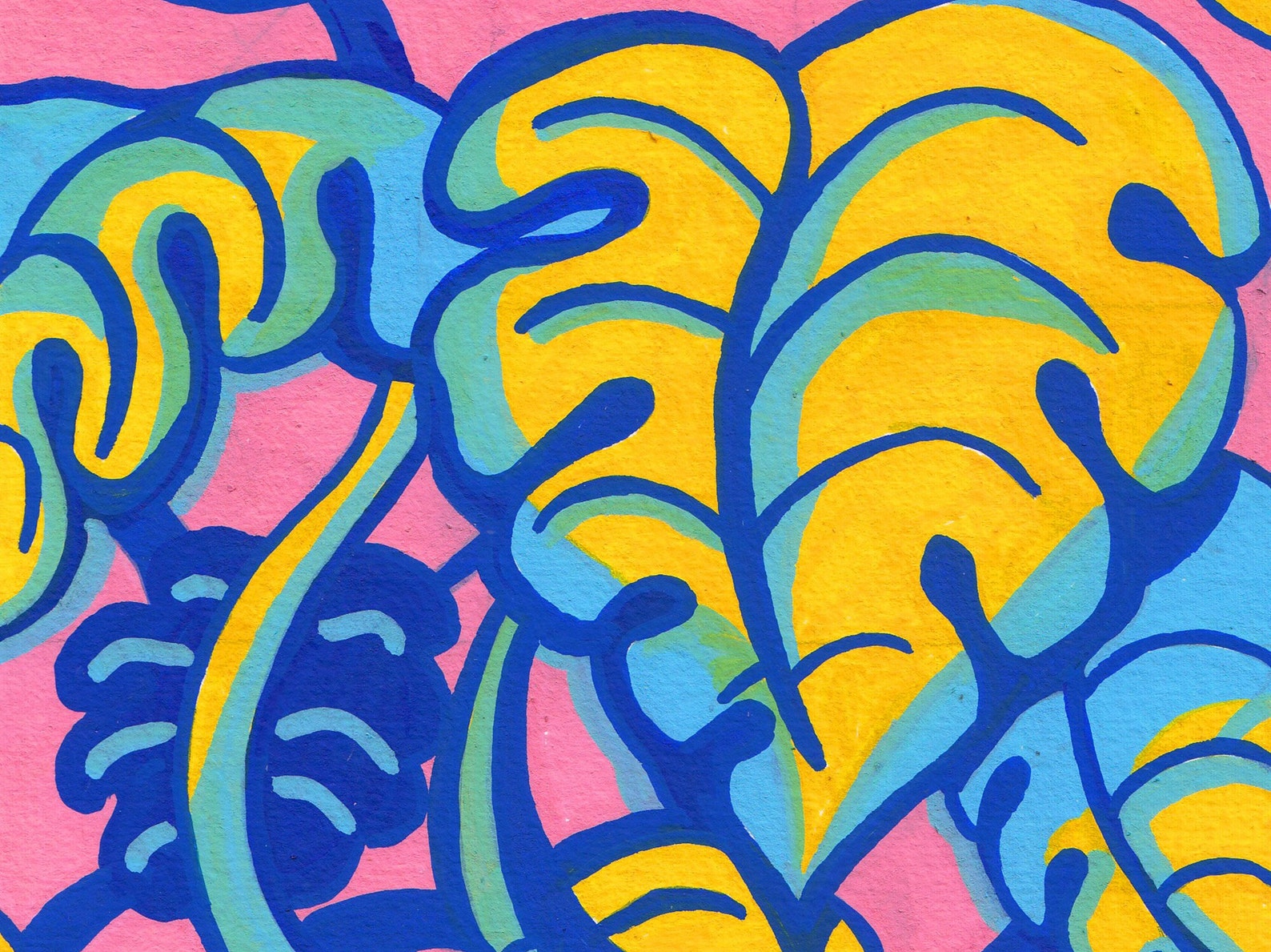 Posca Pen House Plant Artwork - Botanical Paintings, Colourful Flower ...