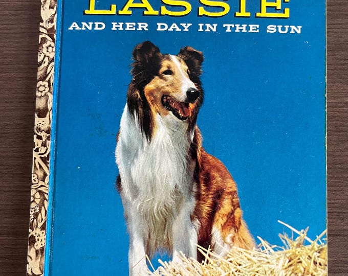 Lassie and Her Day in the Sun Little Golden Book, Vintage Children's ...
