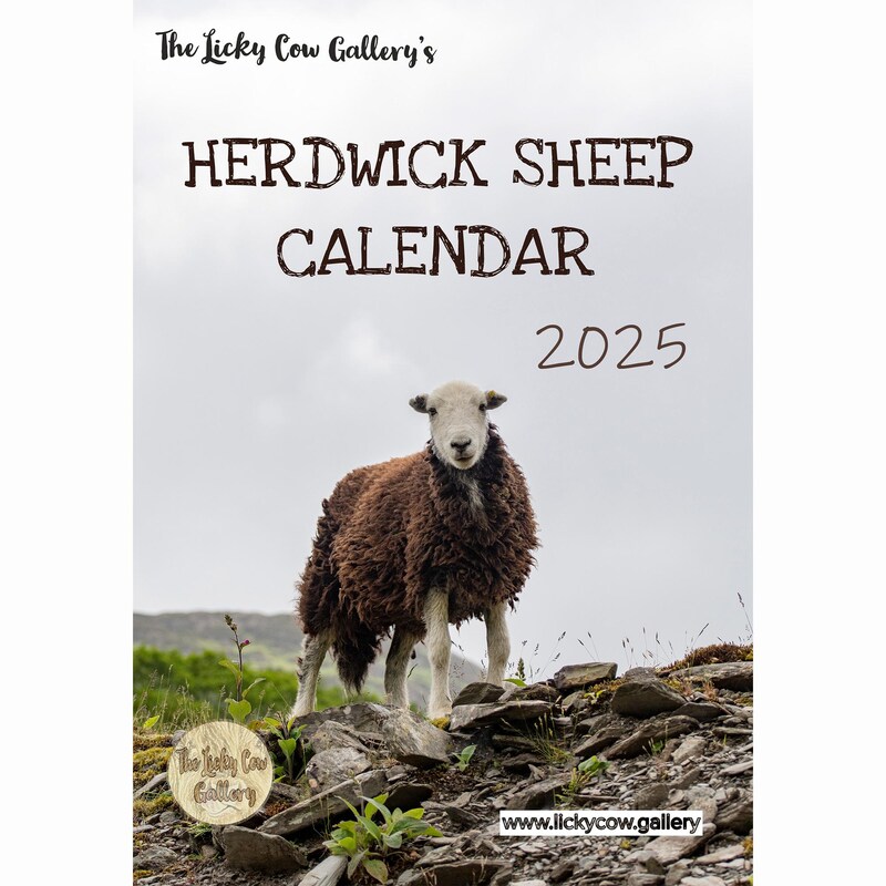 Sheep - Etsy