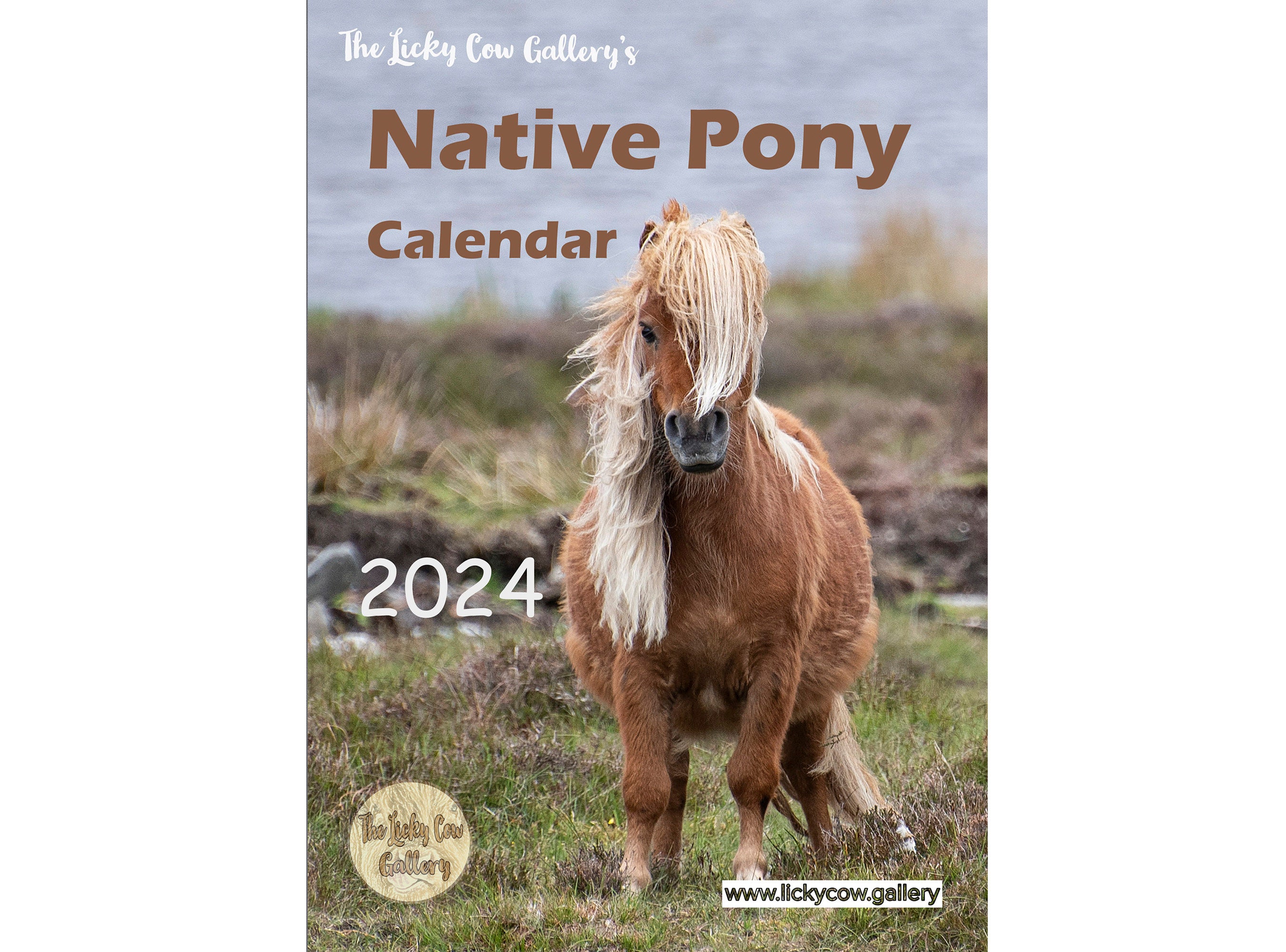 British Native Pony Wall Calendar 2024 12 Page A4 Spiral Bound. Images ...
