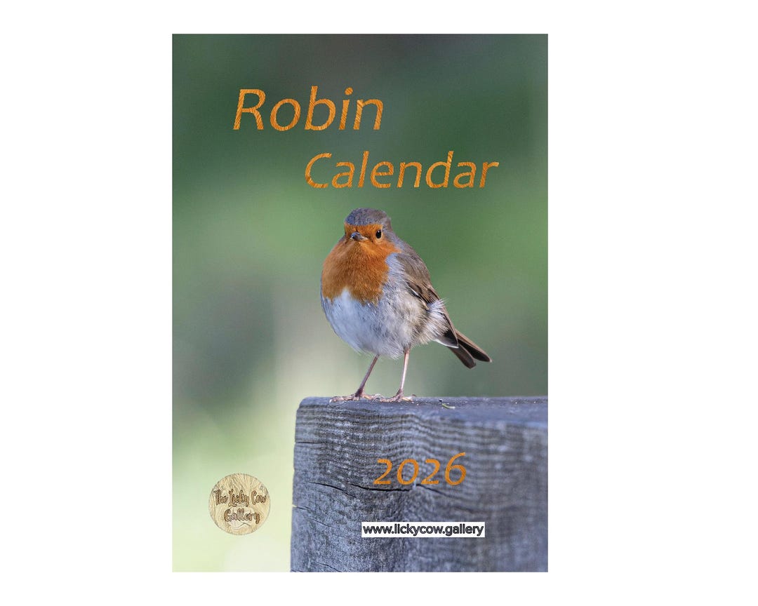 Robin Calendar 2026: UK Bird Photography, Spiral Bound A4 - Etsy