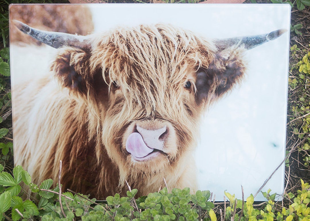 Highland Cow Glass Cutting Board, Licky Cow Kitchen Decor - Etsy