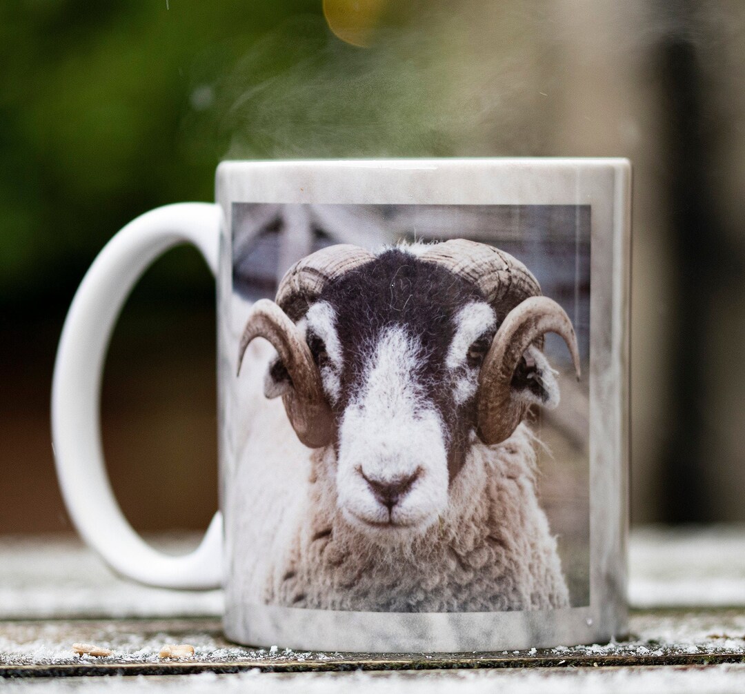 Swaledale Tup Individually Printed China Mug. A Must for Swaledale ...