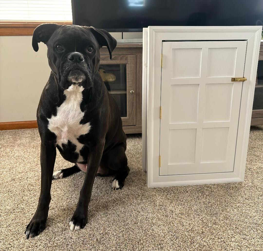Large Exterior Dog Door (DOOR Only): Weatherproof Pet Door With Slide ...