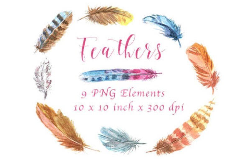 Watercolor Feathers Watercolor Clipart Wall Art Textile Design ...