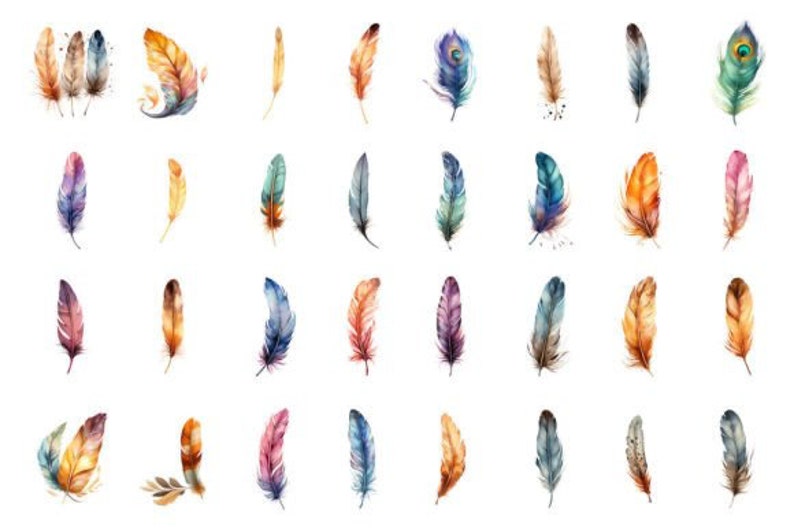 Watercolor Feather Clipart: 88 PNG Graphics (digital Download) - Etsy