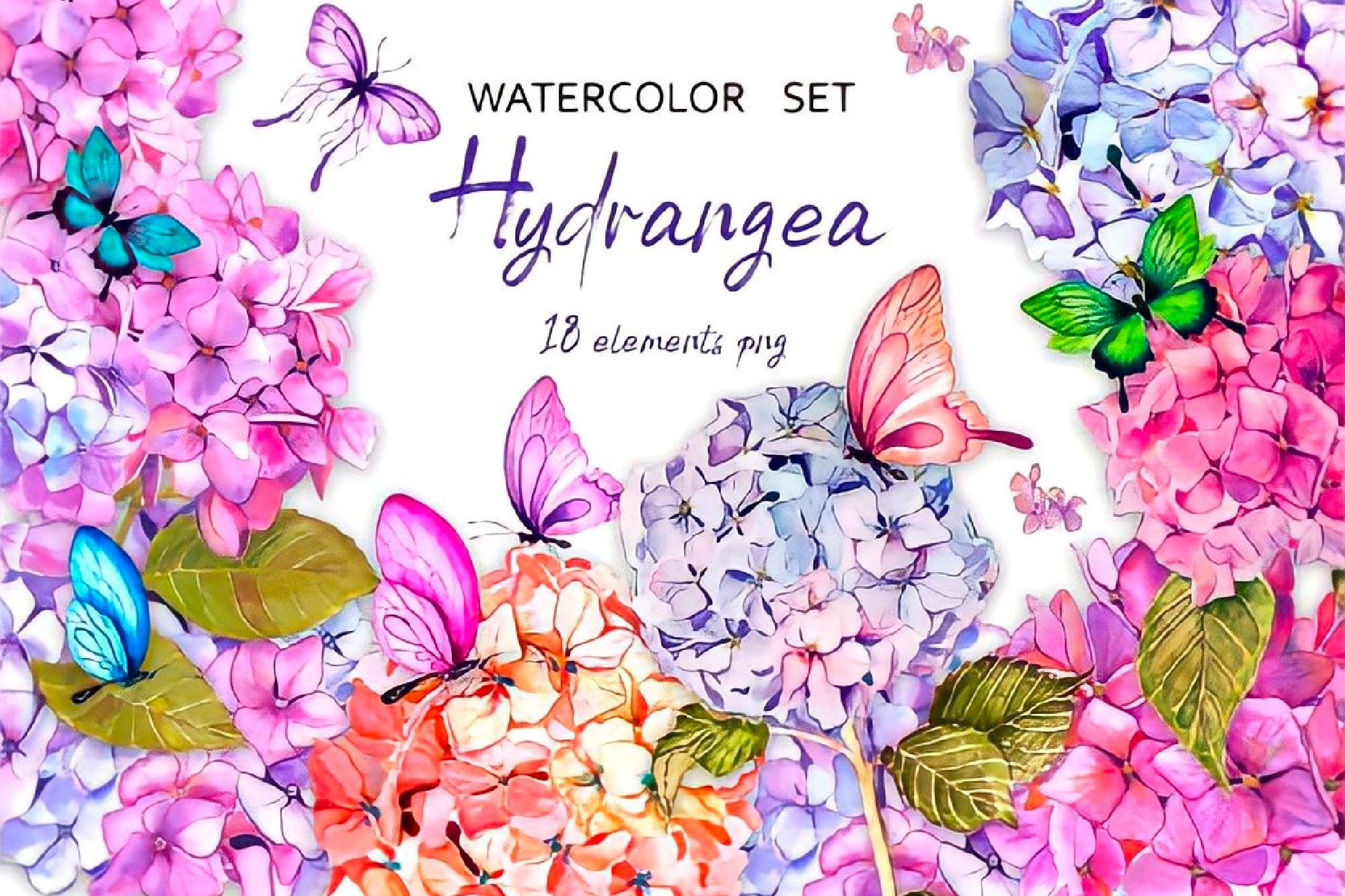 Watercolor Hydrangea Set Digital Download, Hydrangea Garden Clipart ...