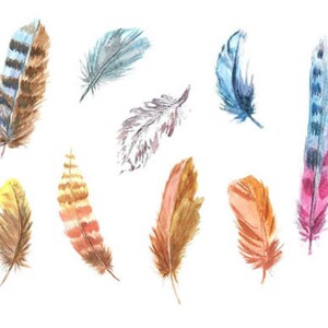 Watercolor Feathers Watercolor Clipart Wall Art Textile Design ...