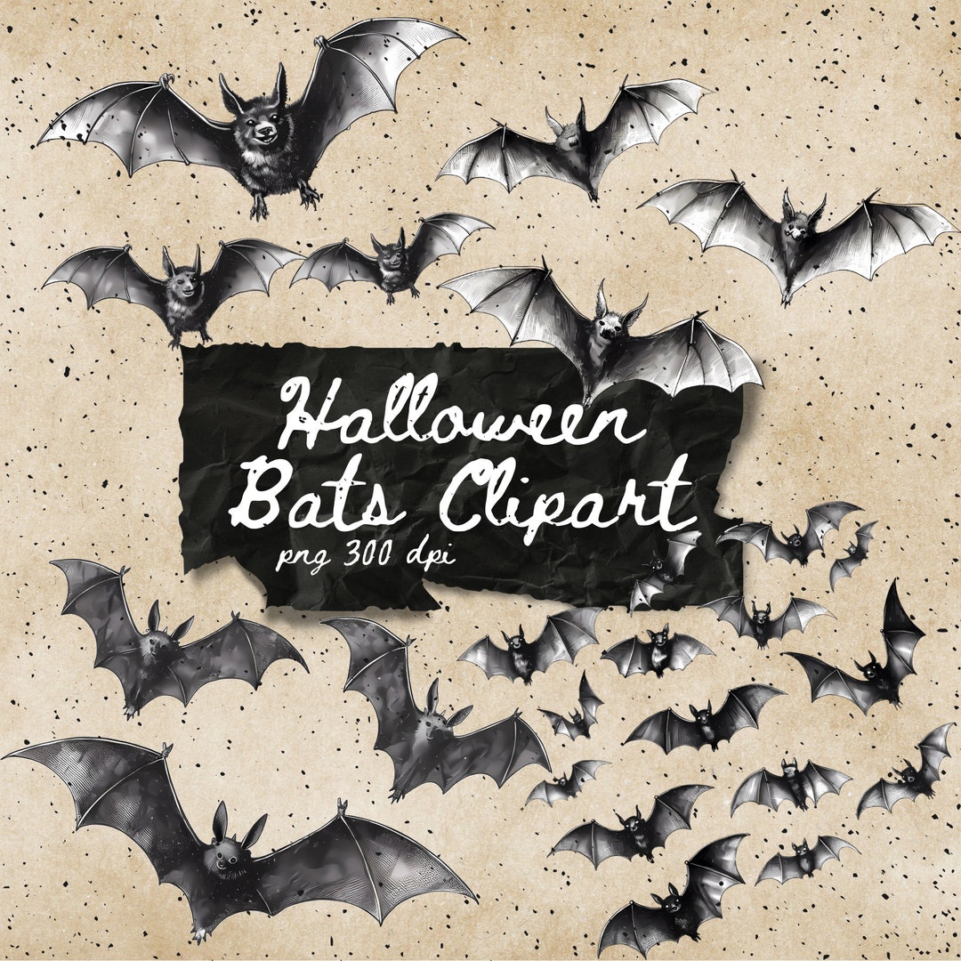 Halloween Bats Clipart PNG Halloween PNG Halloween Digital Bundle ...