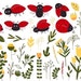 Ladybug Clipart Bundle, Digital Download, Lady Bug Projects, Lady Bug ...
