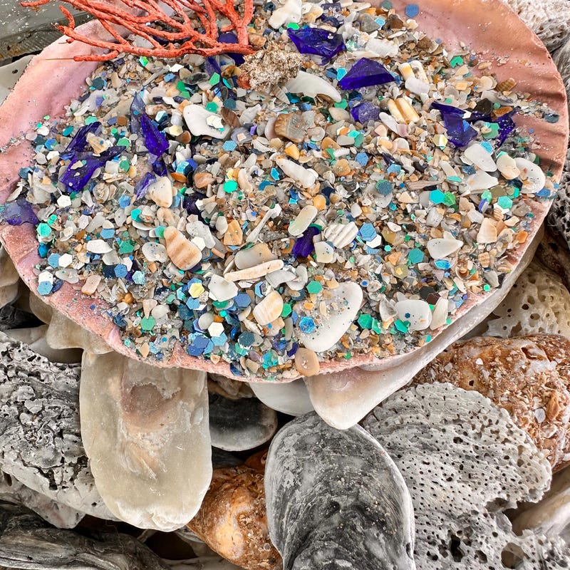 Crushed Shells Decor - Etsy