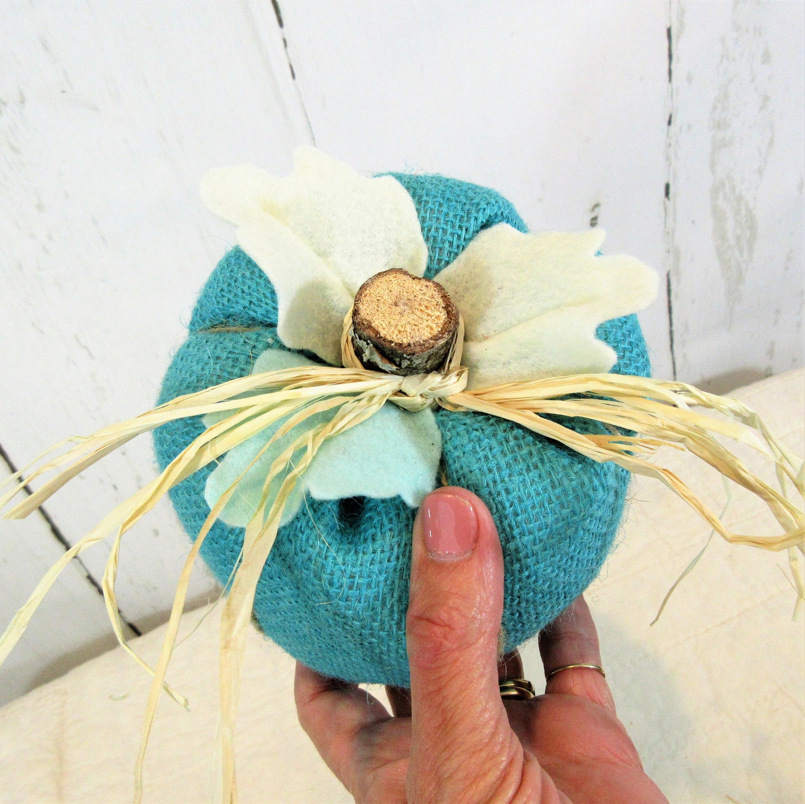 Turquoise Coastal Pumpkins Fall Beach Decor Pastel - Etsy
